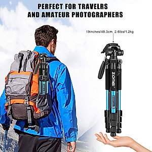 Portable 55-inch Camera Tripod Q111 Lightweight Phone Stand with Phone Holder and Quick Release Plate for DSLR Cameras,Cell Phones,Projector,Webcam,Spotting Scopes Canon EOS Nikon Sony Samsung(Blue)