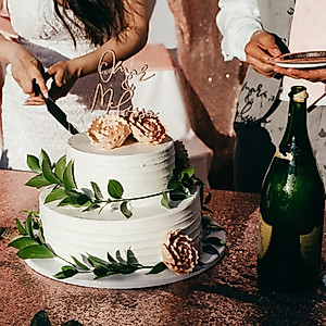 Wedding Cake Knife and Server Set, Cake Cutting Set For Wedding, Cake Cutter Knife & Pie Server, Cake Server for Birthday,Anniversary,Holiday,Baby Shower,Party