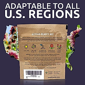 Sweet Yards Seed Co. Autumn Beauty Sunflower Seeds – Extra Large Packet – Over 1,400 Open Pollinated Non-GMO Wildflower Seeds – Helianthus annus – Beautiful Shades of Gold, Bronze, Yellow, and Purple