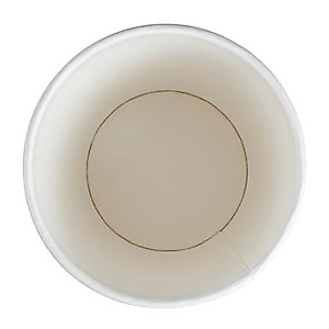 Restaurantware 12 Ounce Disposable Coffee Cups 500 Spiral Wall Hot Cups For Coffee - Lids Sold Separately Rolled Rim Paper Insulated Coffee Cups Picnic Print For Coffee Tea And More