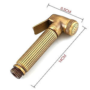 ZLOCYIVHE Toilet Spray Gun Set Hand Held Bidet Sprayer for Toilet Hand Shower for Toilet Use Cold Water Antique with Hose Brass Bidet Shower Sprayer