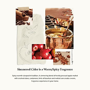 Thymes Simmered Cider Aromatic Votive Trio - Set of Three Votive Candles - Scented Candles with Notes of Freshly Pressed Apple, Crushed Clove, and Cardamom - Luxury Home Fragrance (2 oz Each)