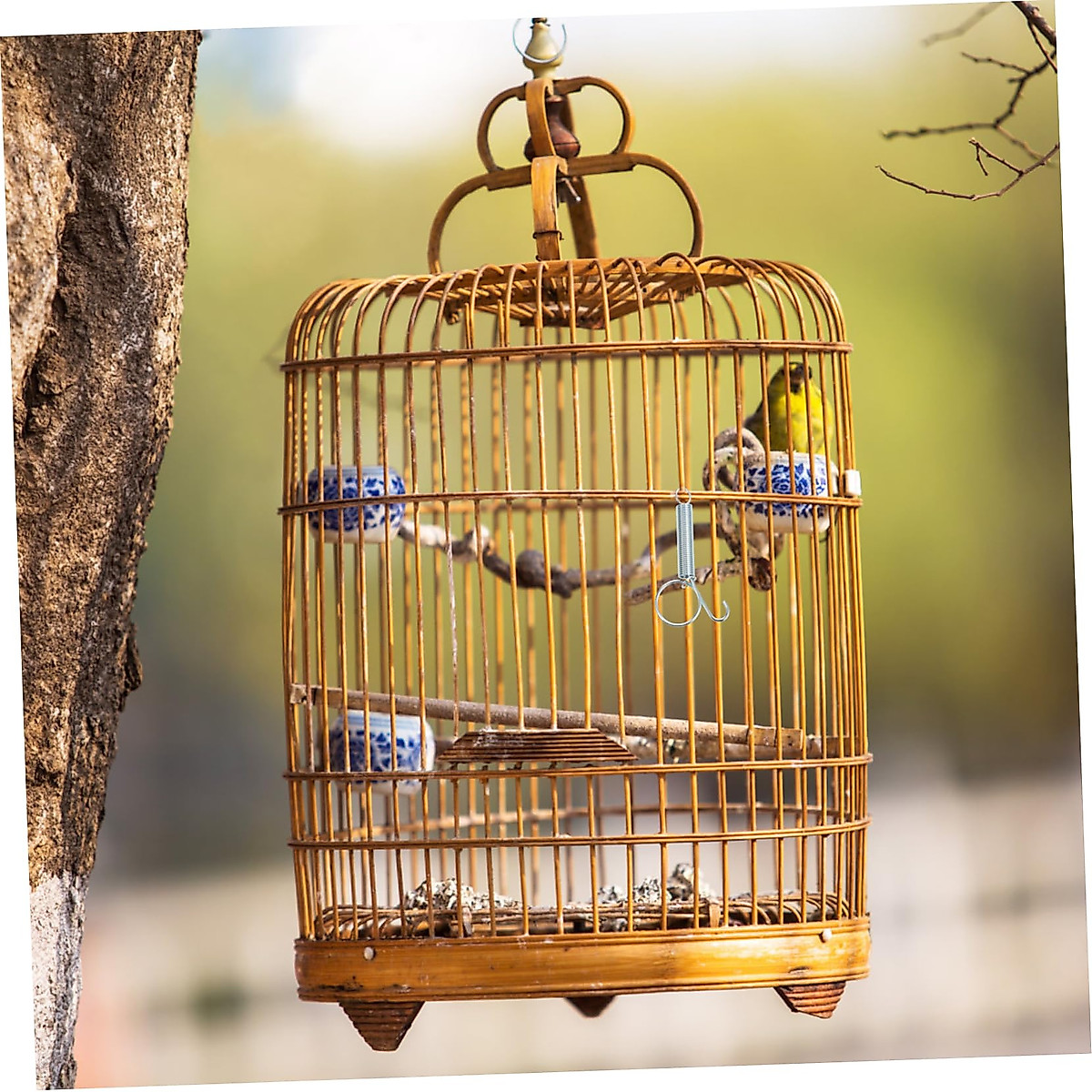 Balacoo 10 Pcs cage Door Spring Hook Critter Nation cage Metal Clothes Hanger Finger Spring latches Metal Hangers cat cage latches Birds cage Hook Stainless Steel Guinea Pig Dedicated