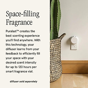 Pura and Soap & Paper Factory Diffuser Scent Refill - Smart Home Air Diffuser Fragrance - Up to 120-Hours of Luxury Fragrance per Vial - Clean & Safe Diffuser Fragrance - 2 Pack, Vanilla Fleur