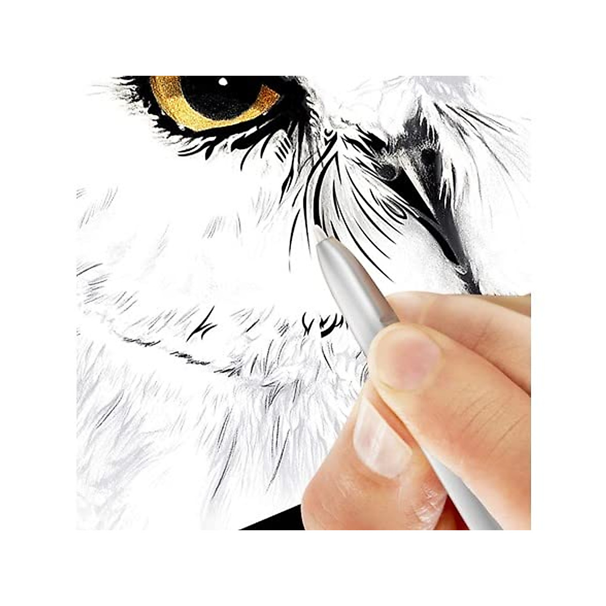 SAMSUNG Touch V2 Convertible 2-in-1 Ultra Slim Laptop Intel Dual Core Processor 4GB RAM 64GB eMMC 12.2in Full HD Dual Camera Chrome OS (Renewed)