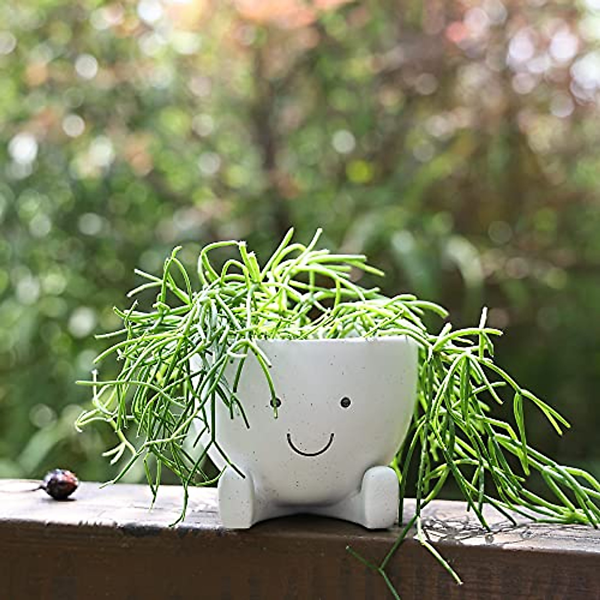AIMEBBY Face Flower Pot Face Head Planter for Indoor Plants Succulent Planters with Drainage Hole Resin Planter 4 Inches