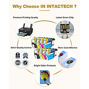 Intactech LC3017XL Compatible Ink Cartridges Replacement for Brother 3017XL LC3017 High Yield for MFC-J6930dw MFC-J5330dw MFC-J6530dw MFC-J6730dw (8-Pack, 2 Black,2 Cyan,2 Magenta,2 Yellow)