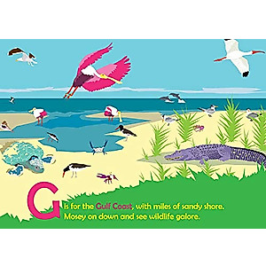 T is for Texas (Alphabet Places)