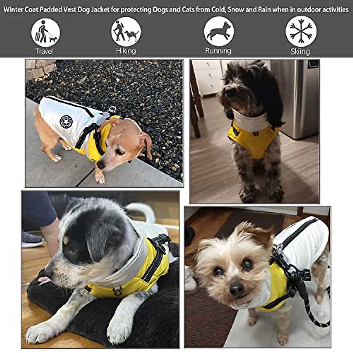 Dog Winter Coat, Padded Vest Dog Jacket - Reflective and Warm Zip Up Dog Vest Interlayer Cotton Jacket with Harness - Waterproof Dog Winter Clothes, Snowproof Dog Vest for Small and Medium Dogs