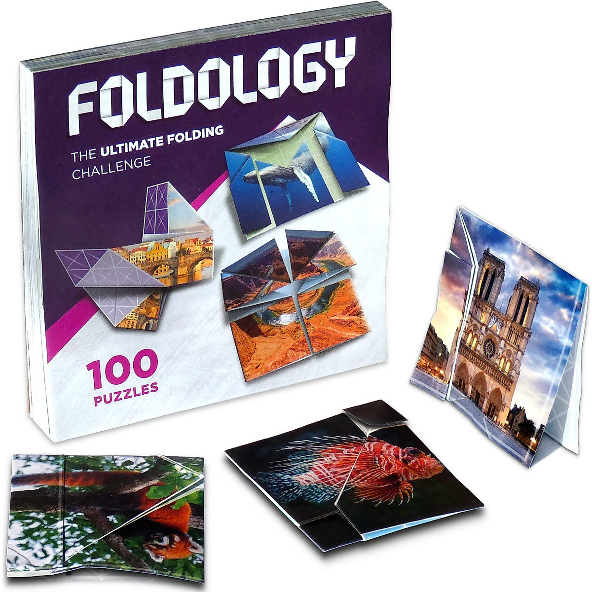 Foldology Trilogy Bundle: Foldology & Foldology 2 & Foldology 3