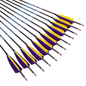 800 Spine Arrow 30 Inch Arrow Target Practice Arrow Hunting Arrow Carbon Arrows Compound Bow Recurve Bow Adult Youth Archery Indoor Outdoor Shooting Bullet Tip 12pc Purple