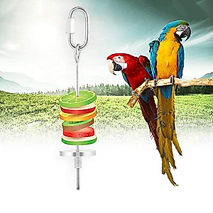 Bird Fruit Holder, Stainless Steel Fruit Vegetable Food Stick Holder Small Animal Bird Toy(S)