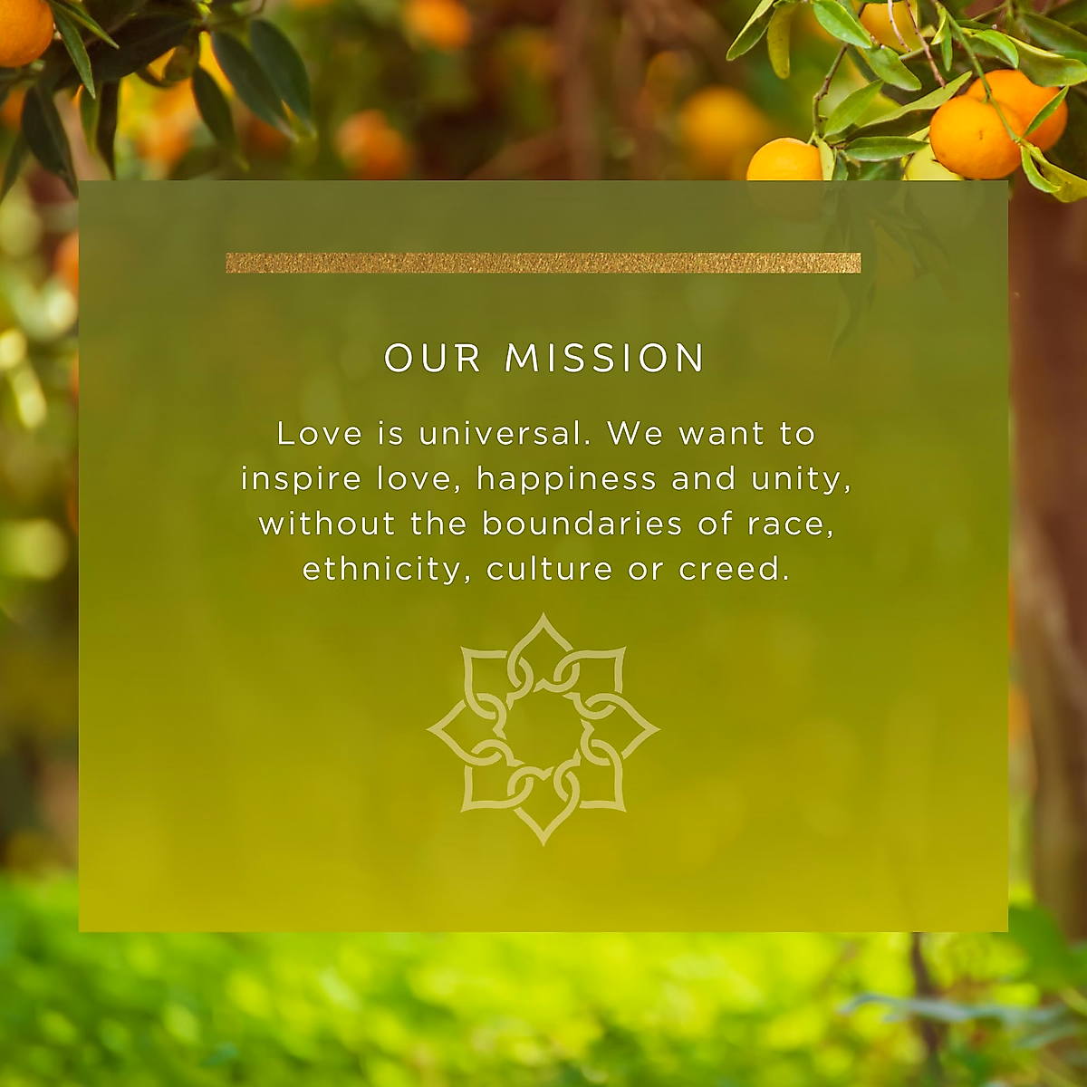 H HABIBI Sage & Citrus Perfume Oud Arabian Men's Cologne - Fresh & Woody Citrus Cologne for Men - Sage, Oud & Patchouli Perfume for Men - Eau de Parfum for Men - Blended with Rare Exotic Notes