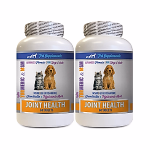 Pet Supplements Dog Joint Care - Pets Turmeric Joint Health - for Dogs and Cats - Advanced Complex - Dog Turmeric Curcumin - 2 Bottles (120 Tablets)