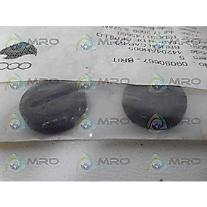 Ridgid 45660 Caps, Quantity 2