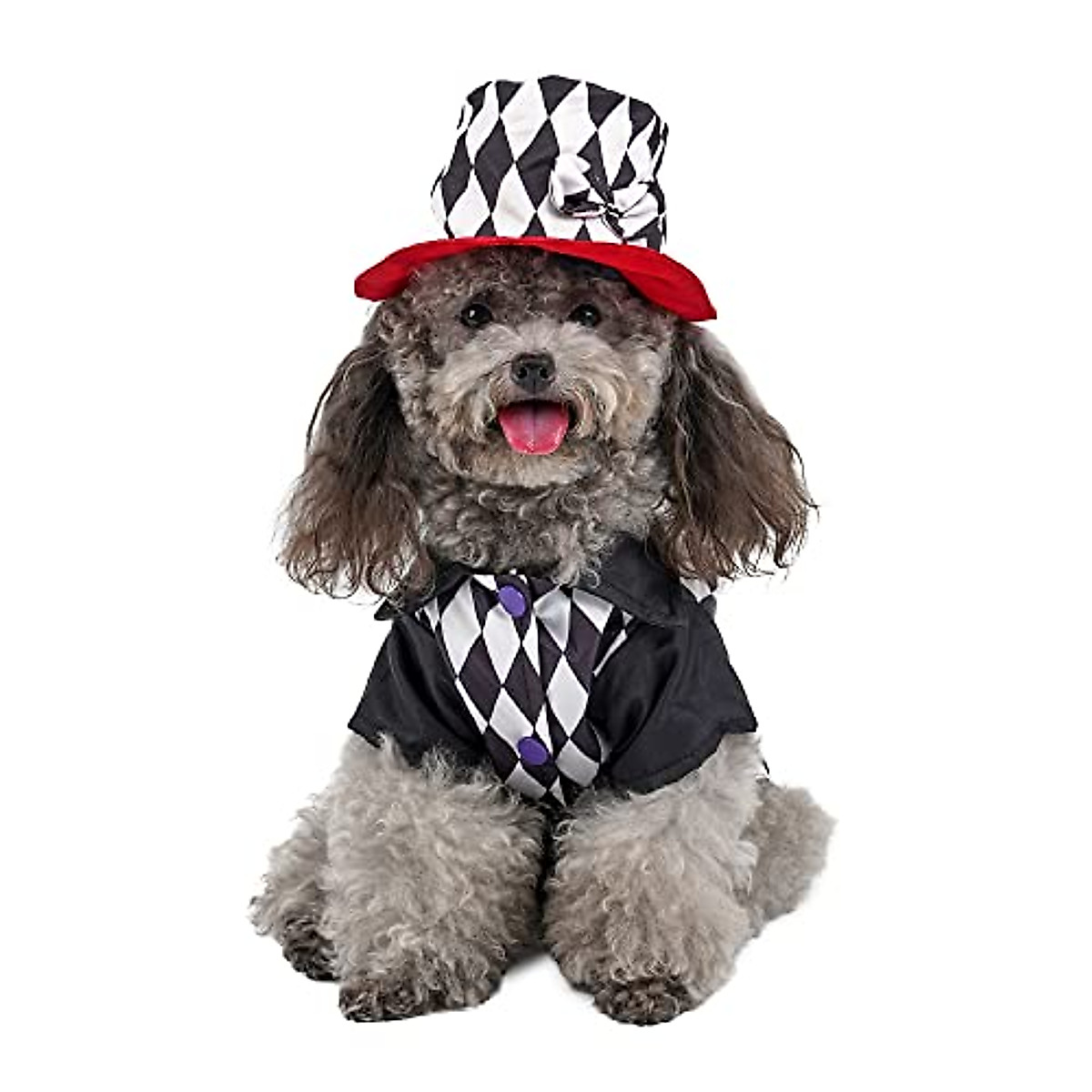 Mogoko Magician Dog Costumes, Pet Halloween Cosplay Jumpsuit with Hat, Adorable Magician Costume, Apparels Warm Outfits Clothes
