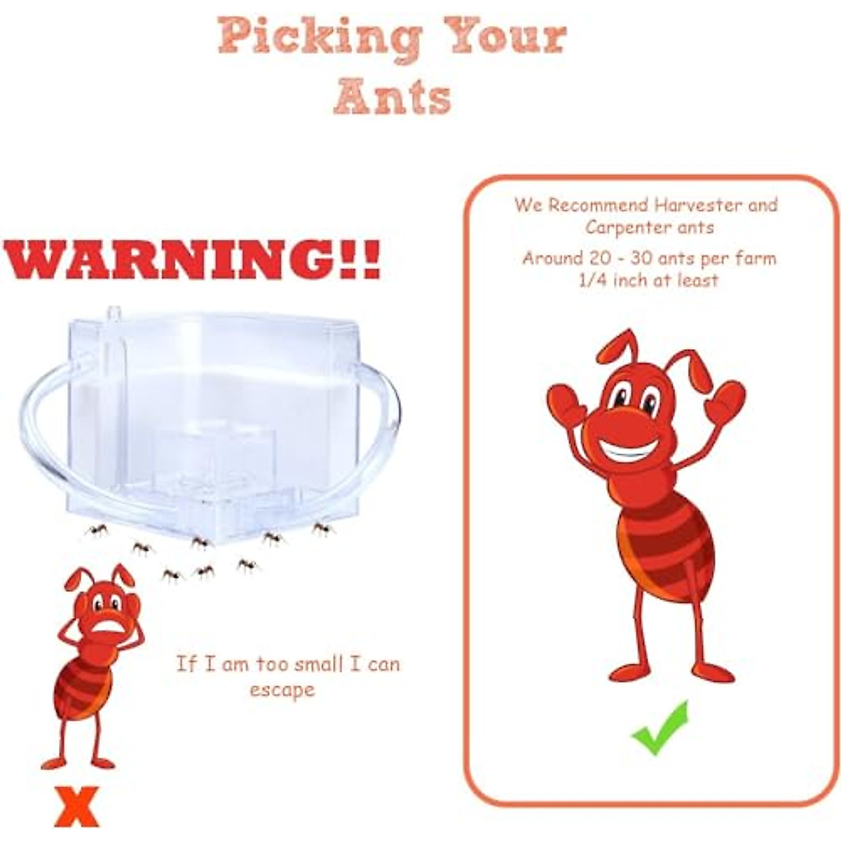 NAVADEAL Sand Ant Farm with Connecting Tubes, Habitat Educational & Learning Science Kit Toy for Kids & Adults - Allows Study of Ecosystem, Behavior of Ants, Explore The World at Home and School