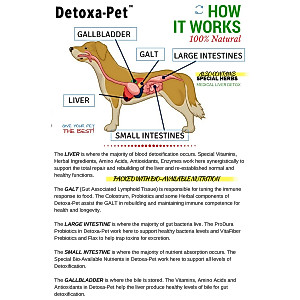 DETOXA-PET Powder, Powerful Nutritional Supplement for Pets, Works Wonders! Dog & Cat Detox, Liver Detox for Dogs, Cats,10 Bill CFU Probiotics, Enzymes, Herbs, Vitamins, Minerals, Immediate Benefits!