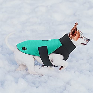 ALAGIRLS Reversible Dog Coat for Cold Weather, Winter Waterproof Dog Vest Jacket, Thick Padded Warm Dog Coat Pet Apparel Outfits with Harness Hole, Turquoise XL