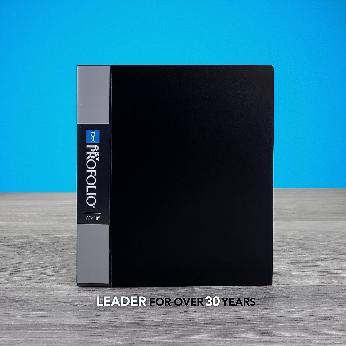 Itoya Art Profolio Portfolio 8-10 Inches Storage Display Book, 24 Sleeves for 48 Views