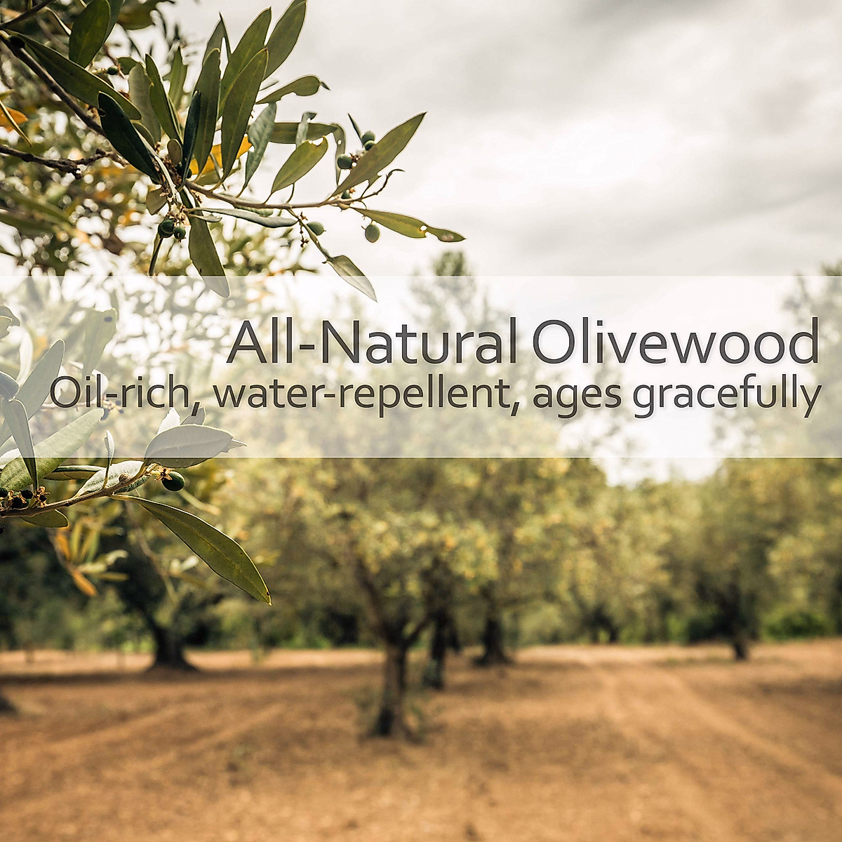 REDECKER Natural Pig Bristle Travel Nail Brush with Waxed Olive Wood Handle, 2-1/4-Inches - Boar Bristle Nail Brush For Cleaning Fingernails - German Wooden Nail Brush