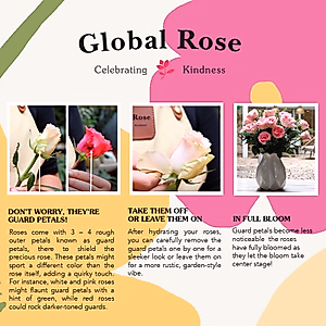 Red Roses- 50 Fresh Flowers- Beautiful Gift (OM)