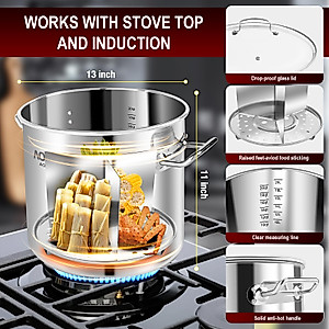 AOSION 24 Quart Stainless Steel Stock Pot With Lid, 3-IN-1 Large Heavy Duty Cooking Pot with Visible Lid for Pasta, Soup, Spaghetti,Big Soup Canning Pot with Steam Rack,Dishwasher & Oven Safe.