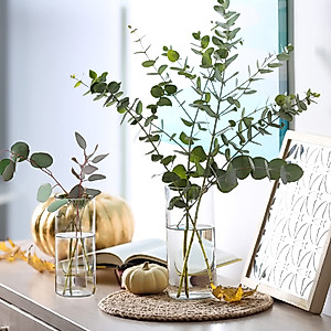 WDHODEC Hurricane Candle Holders Cylinder Flower Vases Pillar Votives Floating Candles Holder, Clear Glass Vase for Wedding Party Decor 10" 7.8" 6" Set of 12