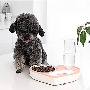 FUUIE Bowls for Food and Water Heart Pet Bowl for Water and Food Dual Use Cat Bowl Automatic Water Feeding Bowl Creative Dog Food Bowl Stainless Steel (Color : Blue)