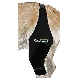 Ortocanis - Knee Brace for Dogs with Ligament Rupture and Patella Luxation, Size XXS, Left Leg