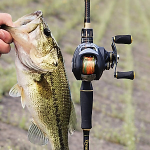 Sougayilang Fishing Rods - IM6 Graphite Blanks Casting & Spinning Rods, 2-Piece Rods with Extra Tip Section,Power Transition System, EVA Handle(Cast 6ft)