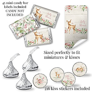 Amanda Creation Little Deer Woodland Girl Baby Shower Party Bundle Includes 20 each of Invitations with Envelopes + 4 Different Sizes of Decorative Stickers, Diaper Tickets & Bring a Book Cards