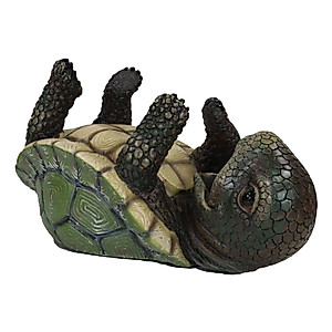 Ebros Gift Drunken Coastal Sea Turtle Tortoise Wine Bottle Holder Caddy Figurine As Home Kitchen Wine Cellar Decorative Storage Organizer Wild Aquatic Animals Turtles Terrapins Tortoises Decor