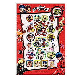 Miraculous Ladybug Sticker Book Multiple Sticker Collection Book Ver.2