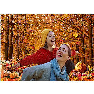 CHAIYA 10x8ft Autumn Maple Forest Photography Backdrop Autumn Harvest Backdrop Thanksgiving Background Pumpkin Decoration Party Backdrops Thanksgiving Backdrops Fall Photo Backdrops CY-238