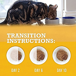 Purina Beyond Grain Free Wet Cat Food Pate Variety Pack - (2 Packs of 12) 3 oz. Cans