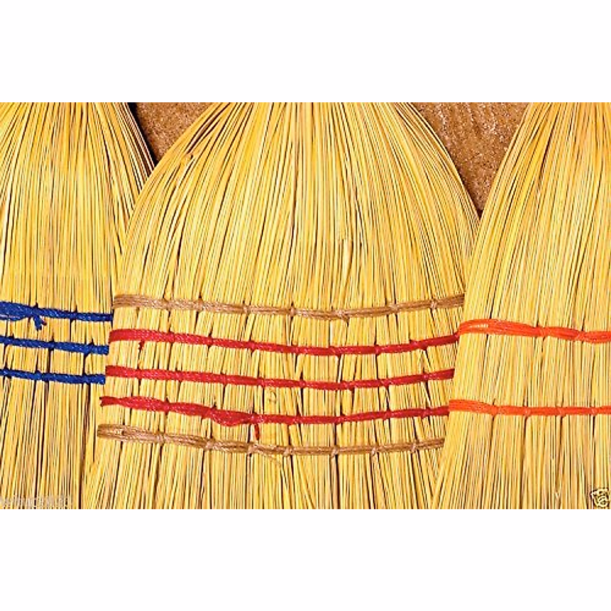 BROOM CORN SEEDS - Sorghum vulgar Mixed,Cream,Gold,Red, Brown,Burgundy and More(3000 Seeds)