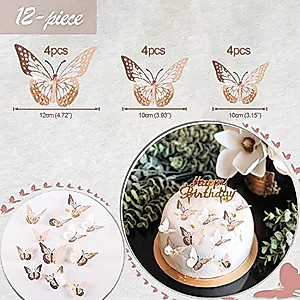 Upgraded Rose Gold Pink Birthday Party Decorations with Happy Birthday Banner,Curtains, Butterfly Wall,Circle Dots Garland,Tissue Pompoms,Paper Tassels Garland for Women Birthday Party Decorations