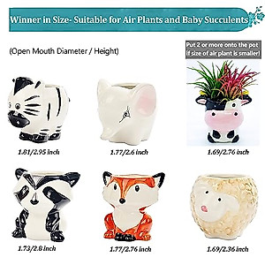 6 Pcs Air Plant Holders Cartoon Shaped Small Succulent Pot Animal Planter Small Ceramic Plant Pot with Drainage for Mini Plant Cactus Flower, Tillandsia Air Fern, Display Stand Home, Office Desktop