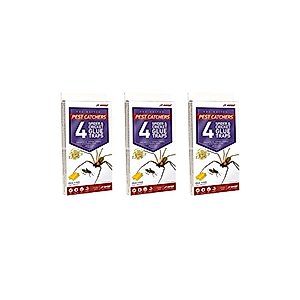 J T Eaton 844 Pest Catchers Large Spider and Cricket Size Attractant Scented Glue Trap, 12 Traps