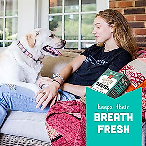 Cloud Star Wag More Dental Biscuits 14 Ounce