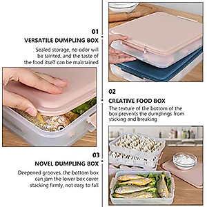 HEMOTON Plastic Food Storage Containers Dumpling Box Food Freezer Box Keep Fruits Vegetables Meat And More Kitche Fridge Freezer (Meat meal)