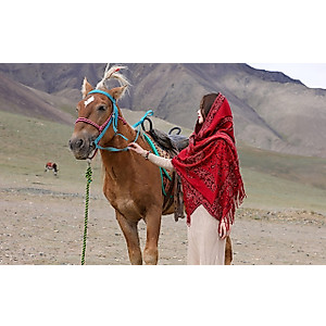 Large Ethnic Style Pashmina Shawls and Wraps for Women Printing Bohemian Extra Long Soft Cashmere Feel Birthday Gifts Throw Warm Winter Womens Fall Scarfs Shawls and Wraps for Wedding Christmas in Red