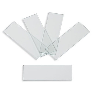 Microscope Slides, Ground Edges, Plain, 90 Corners, 3x1, Karter Scientific 206A2 (Pack of 72)