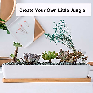 Farielyn-X 2 Pack White Succulent Planter Pots, 11.1 inch Long Rectangle Ceramic Plant Container with Bamboo Saucers, Mini Flower Cactus Pot Indoor Outdoor Home Garden Kitchen Decor, Plant not Include
