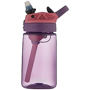 Contigo CLEANABLE 14OZ PP Eggplant Punch Waterbottle