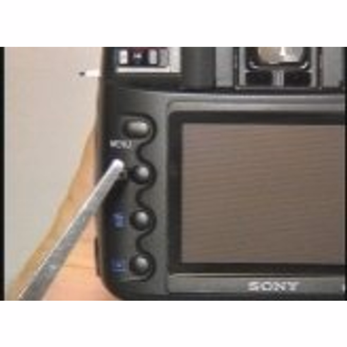 Sony A100 Digital Camera Training Dvds