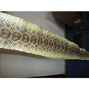 Rattlesnake Skin Prairie Rattler Hide Dry Tanned Bow Wrap Pen Blanks 44"