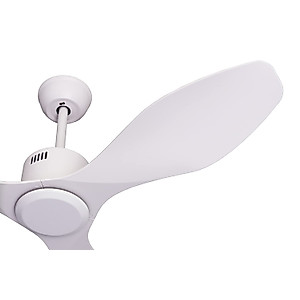 Goozegg Ceiling Fan No Light Remote Control Modern 3 Blades Reversible DC Motor, 48-inch, White