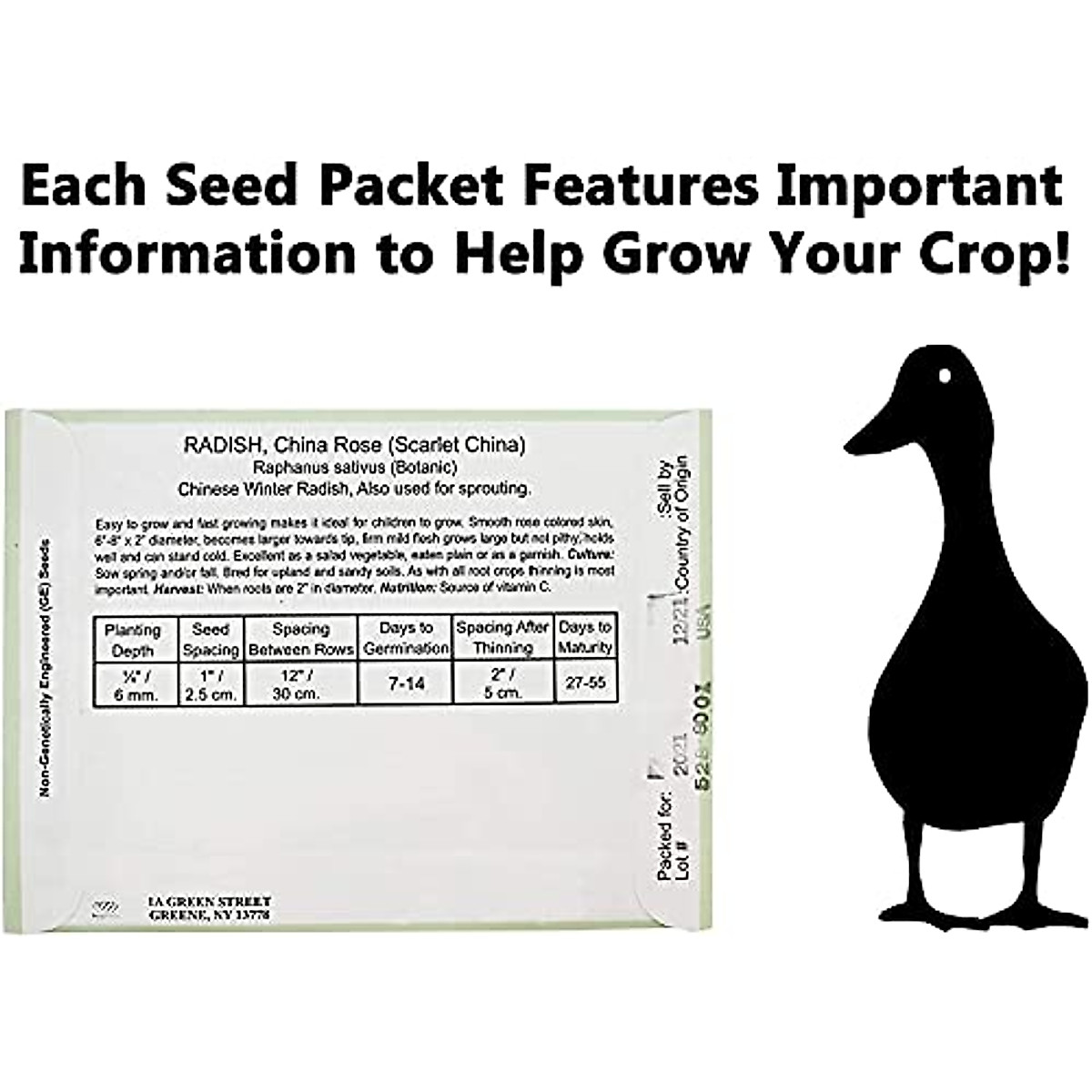 Set of 30 Vegetable and Herb Seeds - Semi Assorted - 100% Non-GMO & Heirloom - Great for Starting a Garden! High Germination Rate! (30)